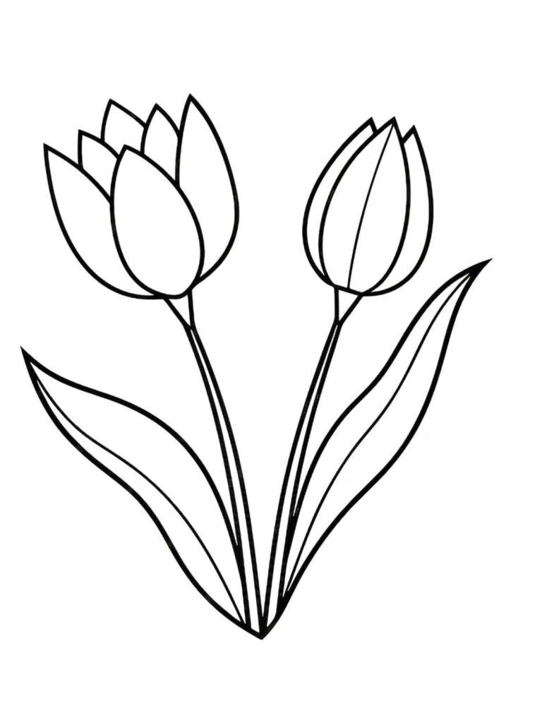25+ Prachtige Kleurplaat Tulp (Gratis PDF Printbaar) - Kleurplaat.org