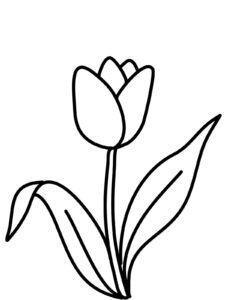 25+ Prachtige Kleurplaat Tulp (Gratis PDF Printbaar) - Kleurplaat.org