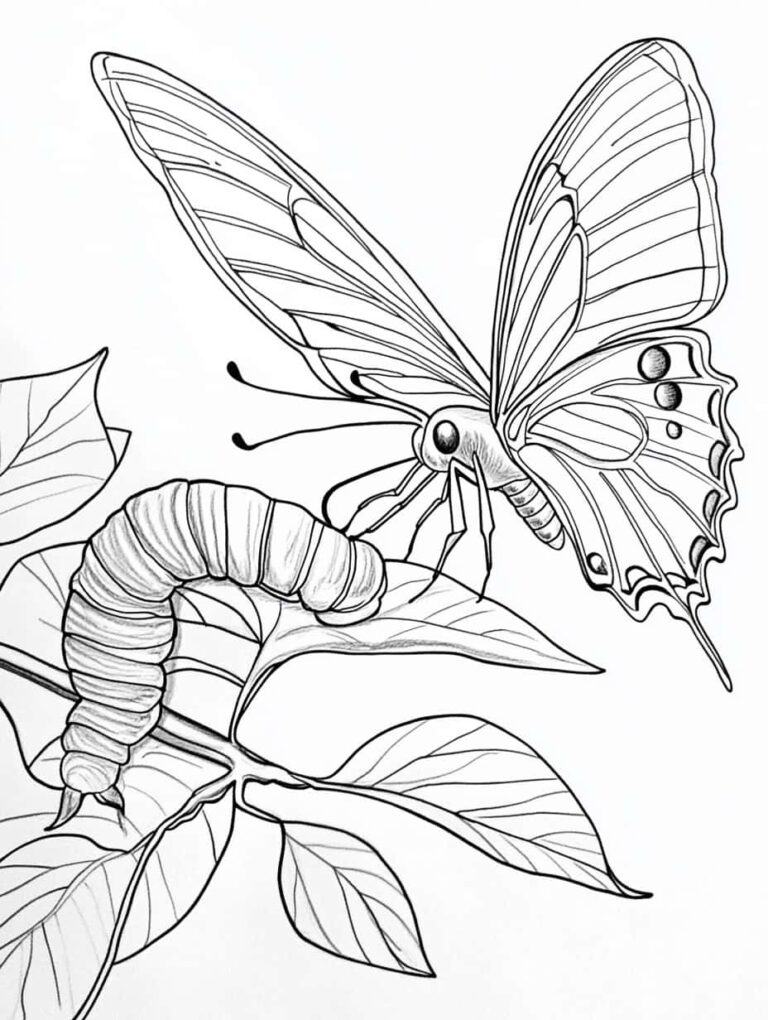 30+ Gratis Kleurplaat Vlinder Voor Kinderen - Kleurplaat.org