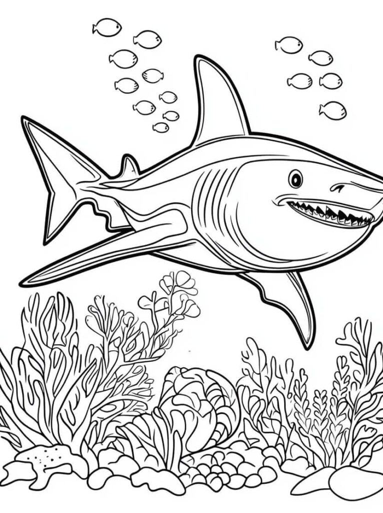 22+ PDF Haai Kleurplaat Gratis Printen – Kleurplaat.org