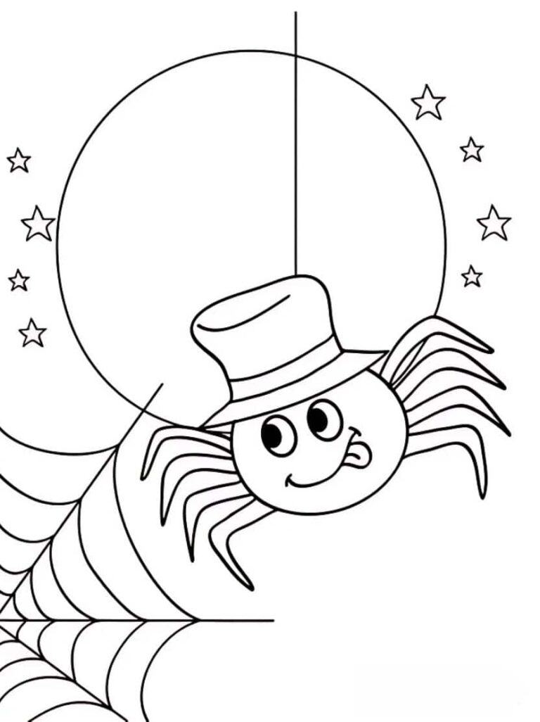 15+ Spin Kleurplaat (Gratis PDF Printen) - Kleurplaat.org