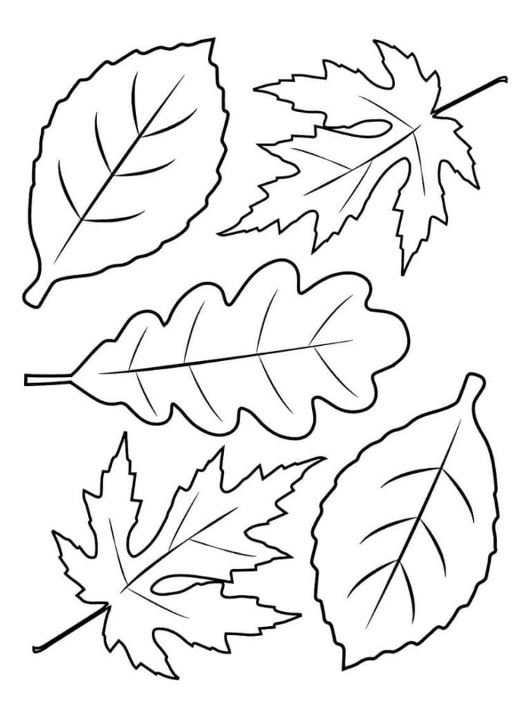 22+ Blaadjes Kleurplaat (Gratis PDF Printen) - Kleurplaat.org