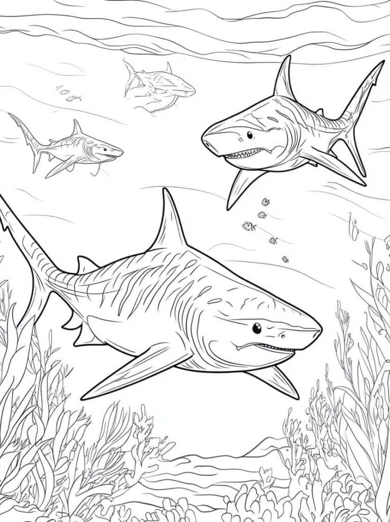 22+ PDF Haai Kleurplaat Gratis Printen - Kleurplaat.org