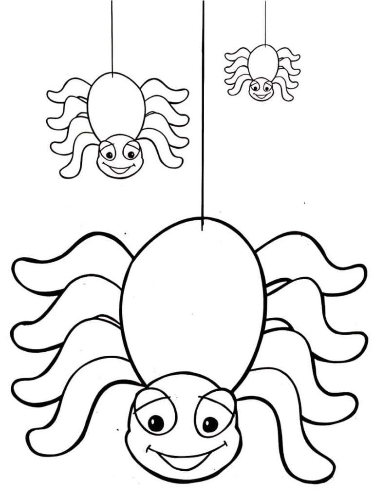 15+ Spin Kleurplaat (Gratis PDF Printen) - Kleurplaat.org