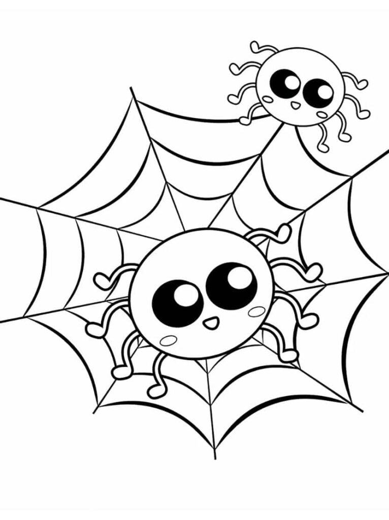 15+ Spin Kleurplaat (Gratis PDF Printen) - Kleurplaat.org