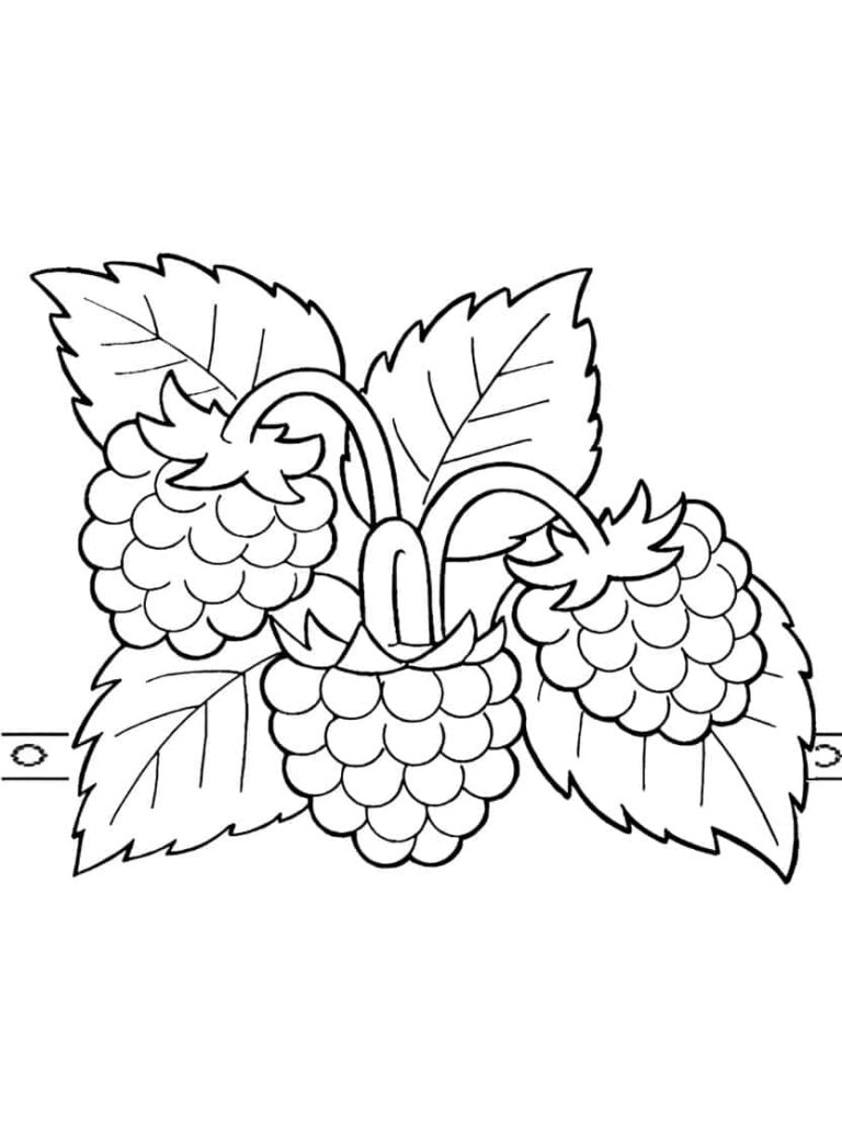 Kleurplaat fruit : kleur om bekende vruchten te ontdekken - Kleurplaat.org