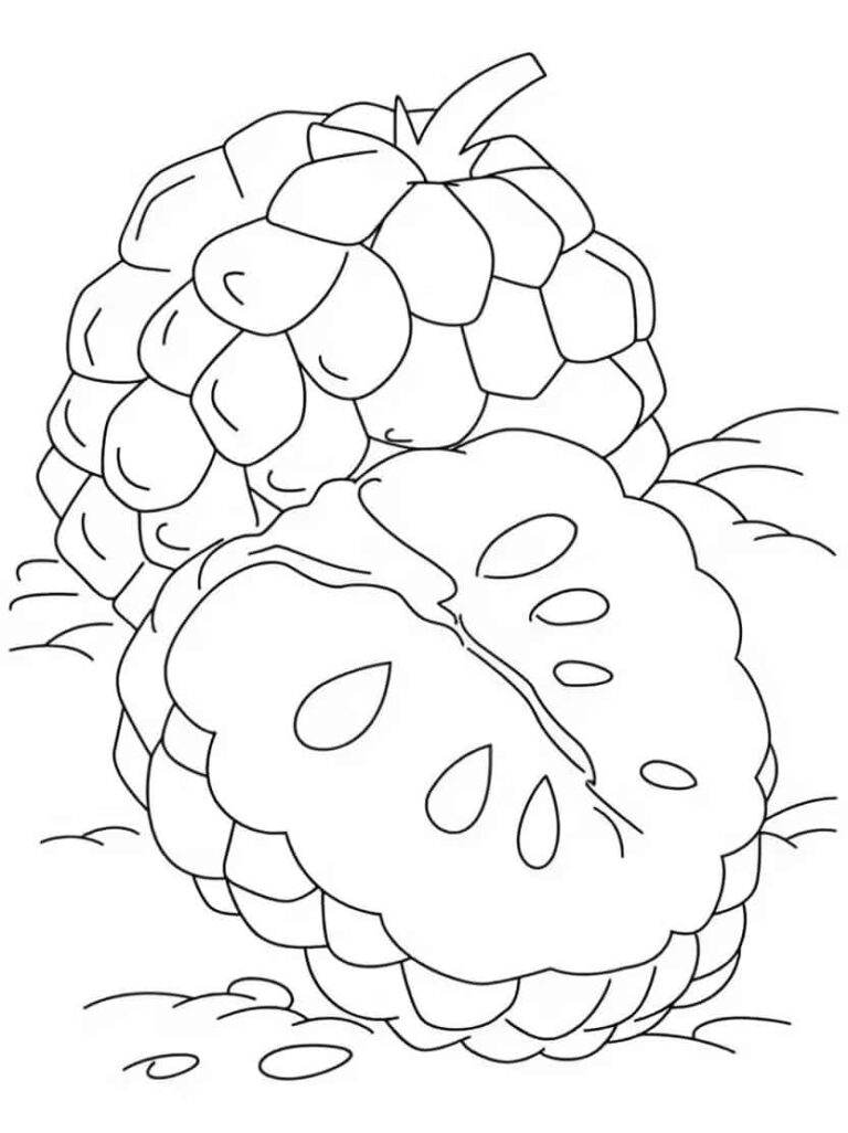 Kleurplaat fruit : kleur om bekende vruchten te ontdekken - Kleurplaat.org